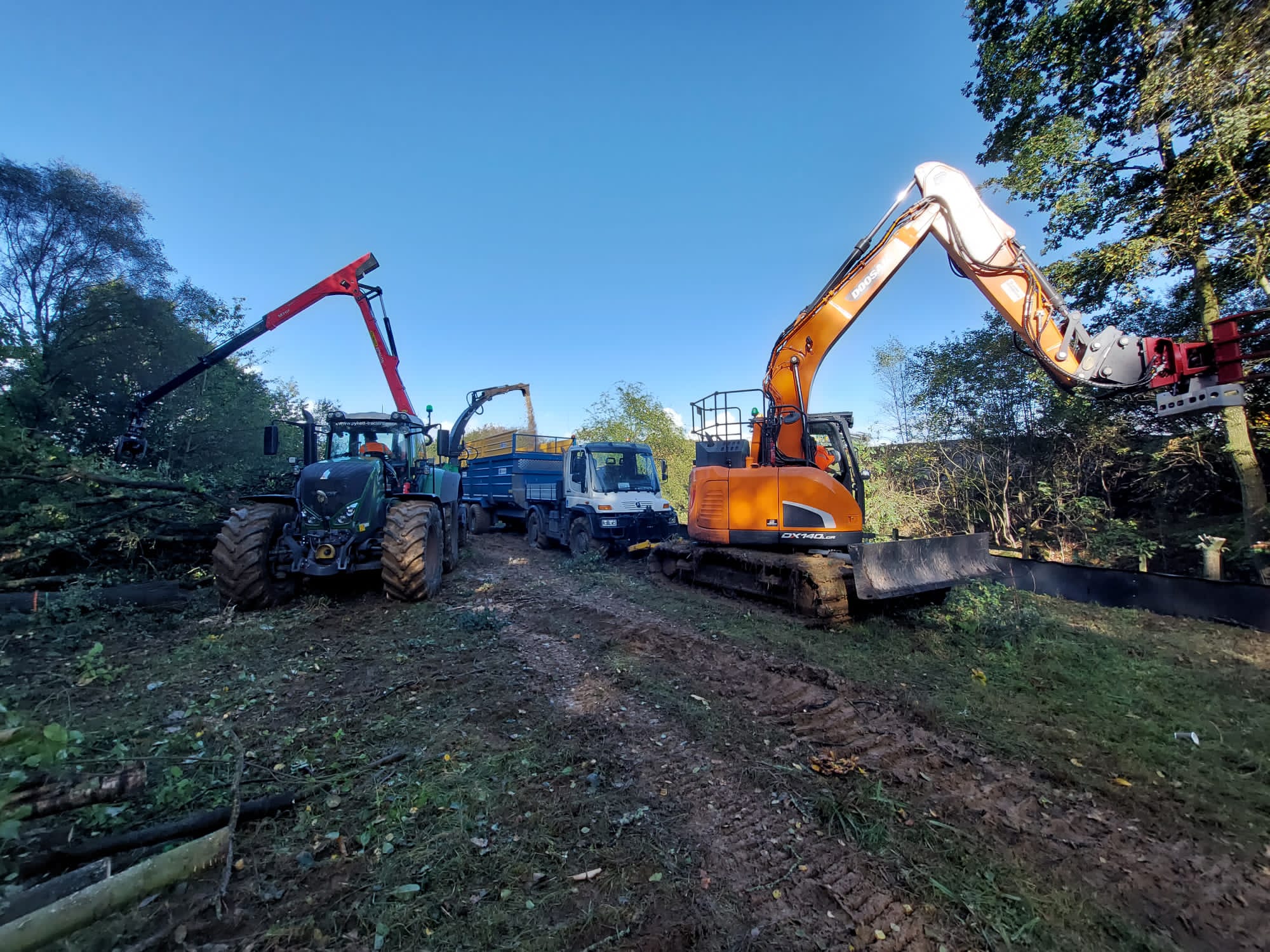 Tree Removal | Simpson Arboriculture - Tree Surgery, Forestry, Site ...